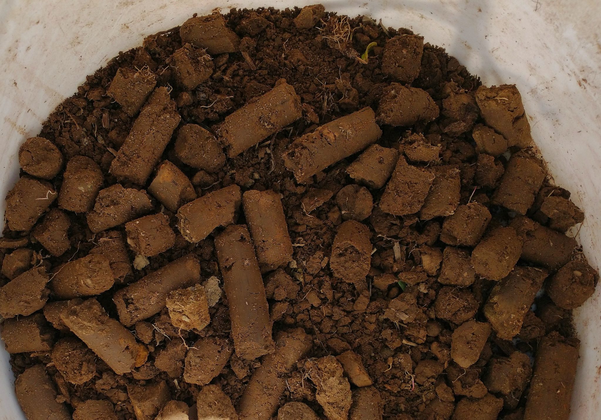 FOOD PLOTS 101: SOIL SAMPLING & SOIL FERTILITY – RedHorse Environmental