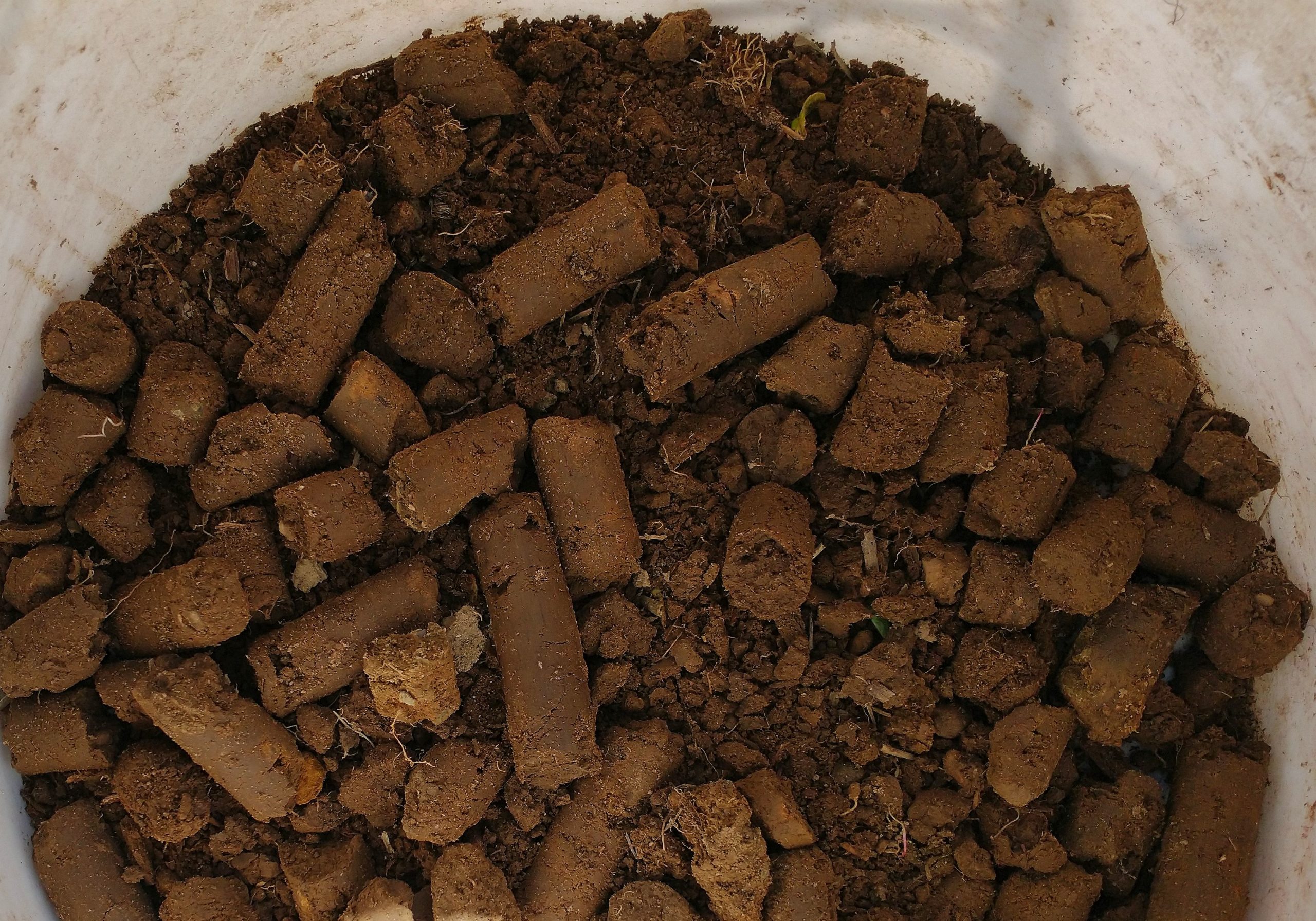 FOOD PLOTS 101: SOIL SAMPLING & SOIL FERTILITY – RedHorse Environmental